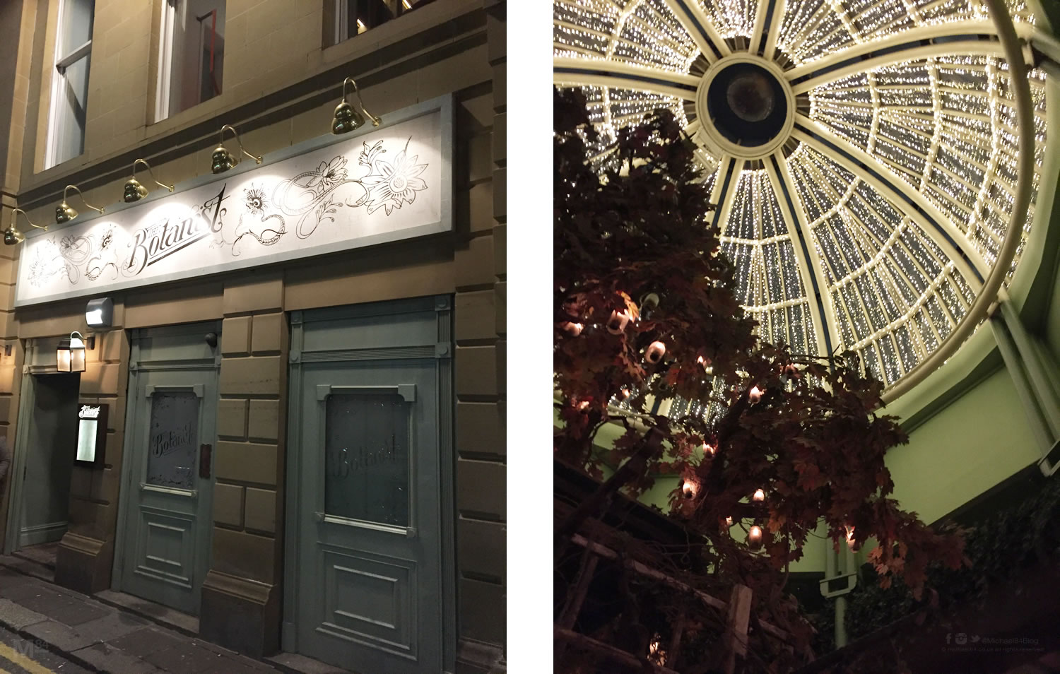 The Botanist Newcastle Review | Michael 84